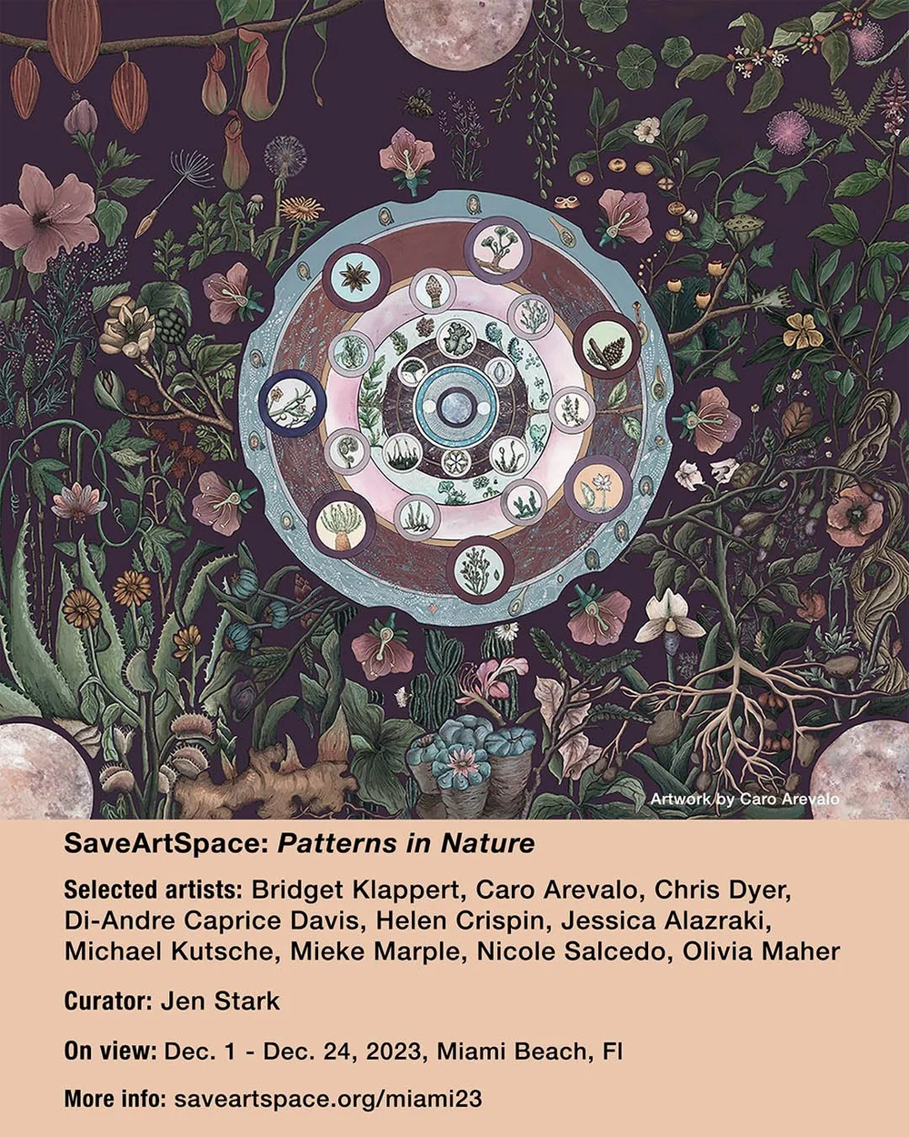 Patterns In Nature — SaveArtSpace