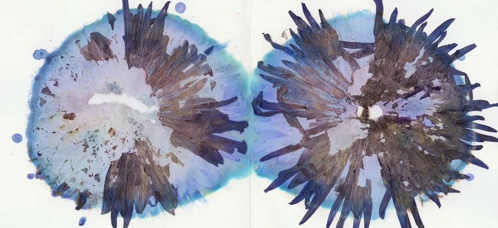 BLOOM — SaveArtSpace