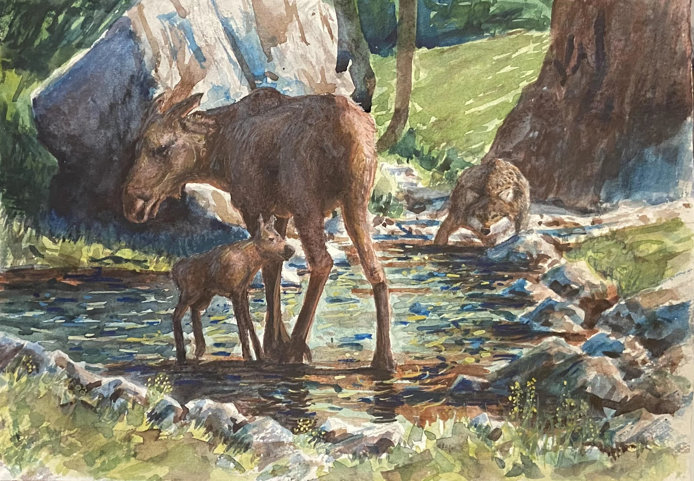 Alexander Samuelsson