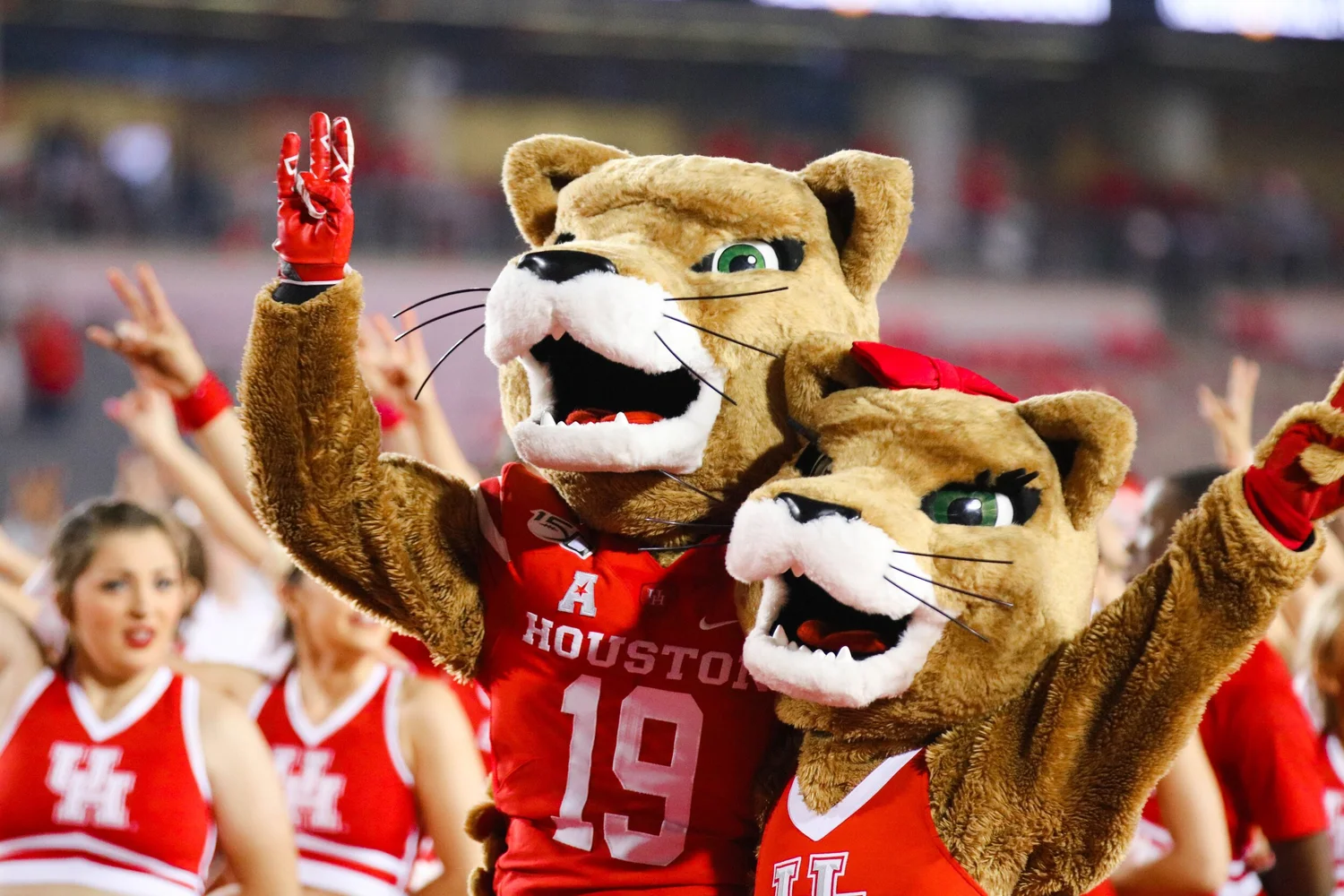 Spirit Teams — UH Bands and Spirit Groups