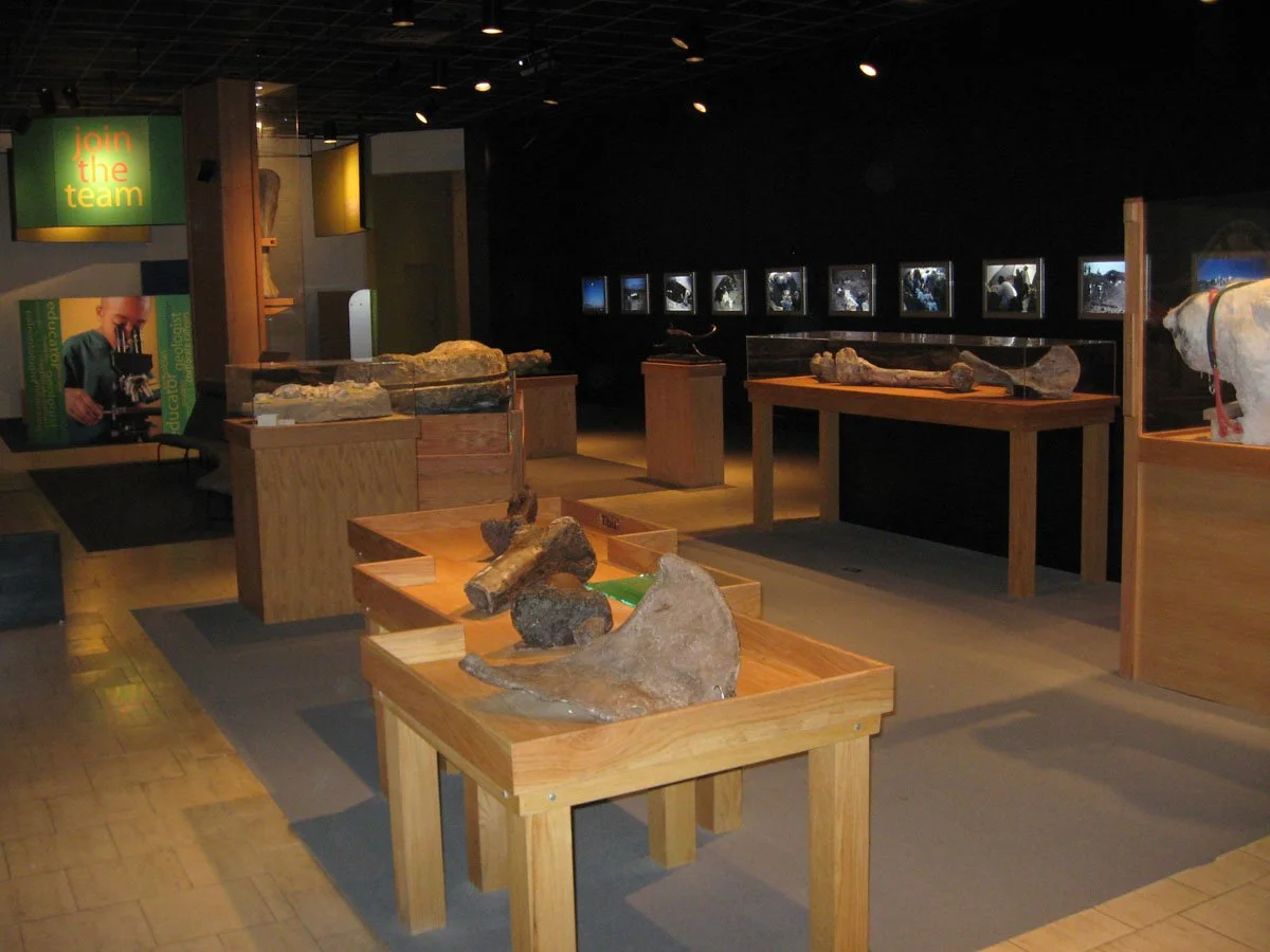 Exhibits Designer Exhibit Experiential Design Custom Creative Agency ...