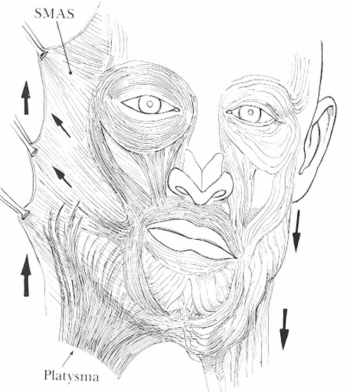 Keeping it Together with a Strong Platysma by Deborah Tosline — Skin ...