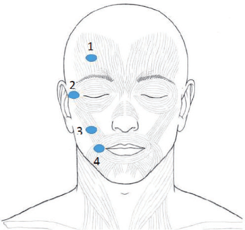 Maintaining Facial Muscle Function and Strength Using Electrical Muscle ...