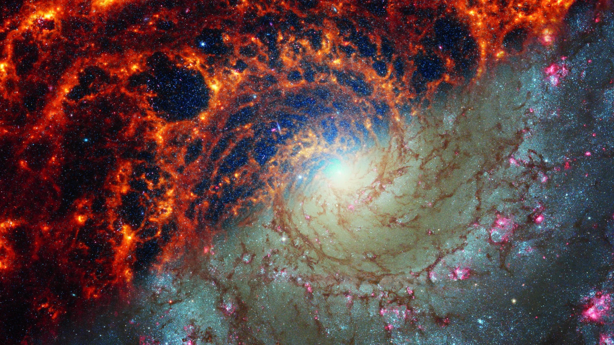 Happy New Year, Welcome 2025 and Gratitude for our Beautiful Universe ...