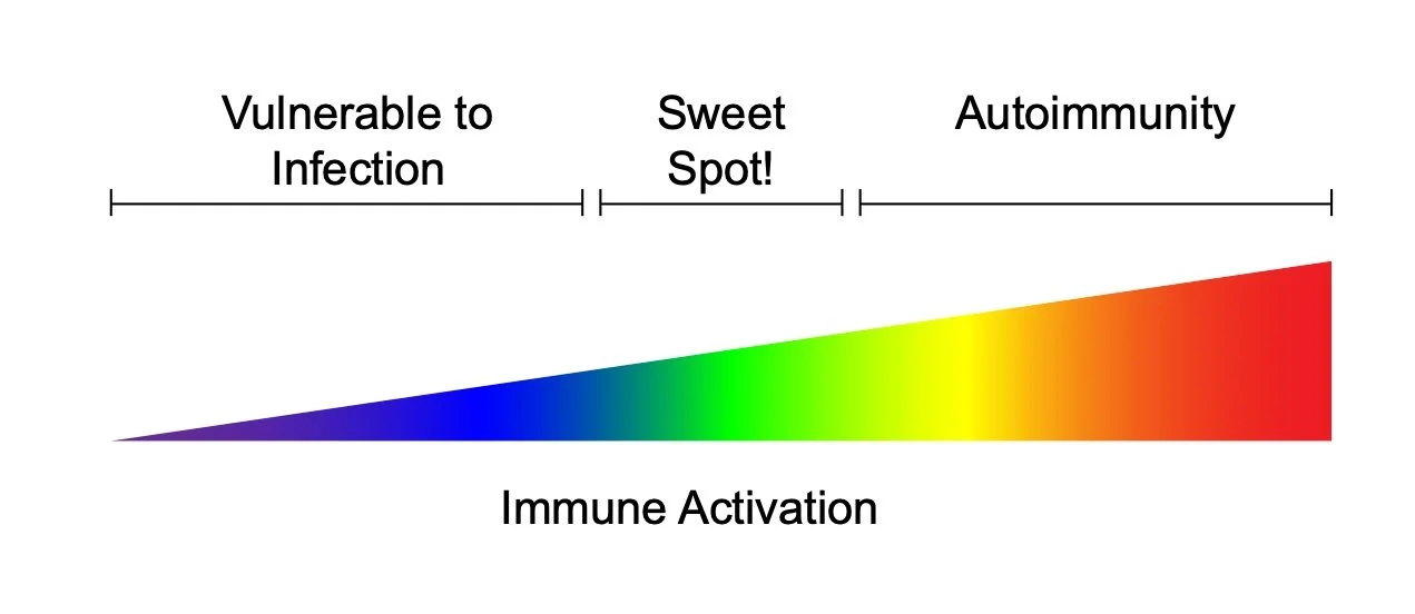 Inflammation – Acute Survival Mechanism AND Chronic Driver of Disease ...