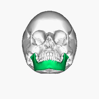 The Architecture of Beauty: How Facial Bone Structure Affects Aging and ...