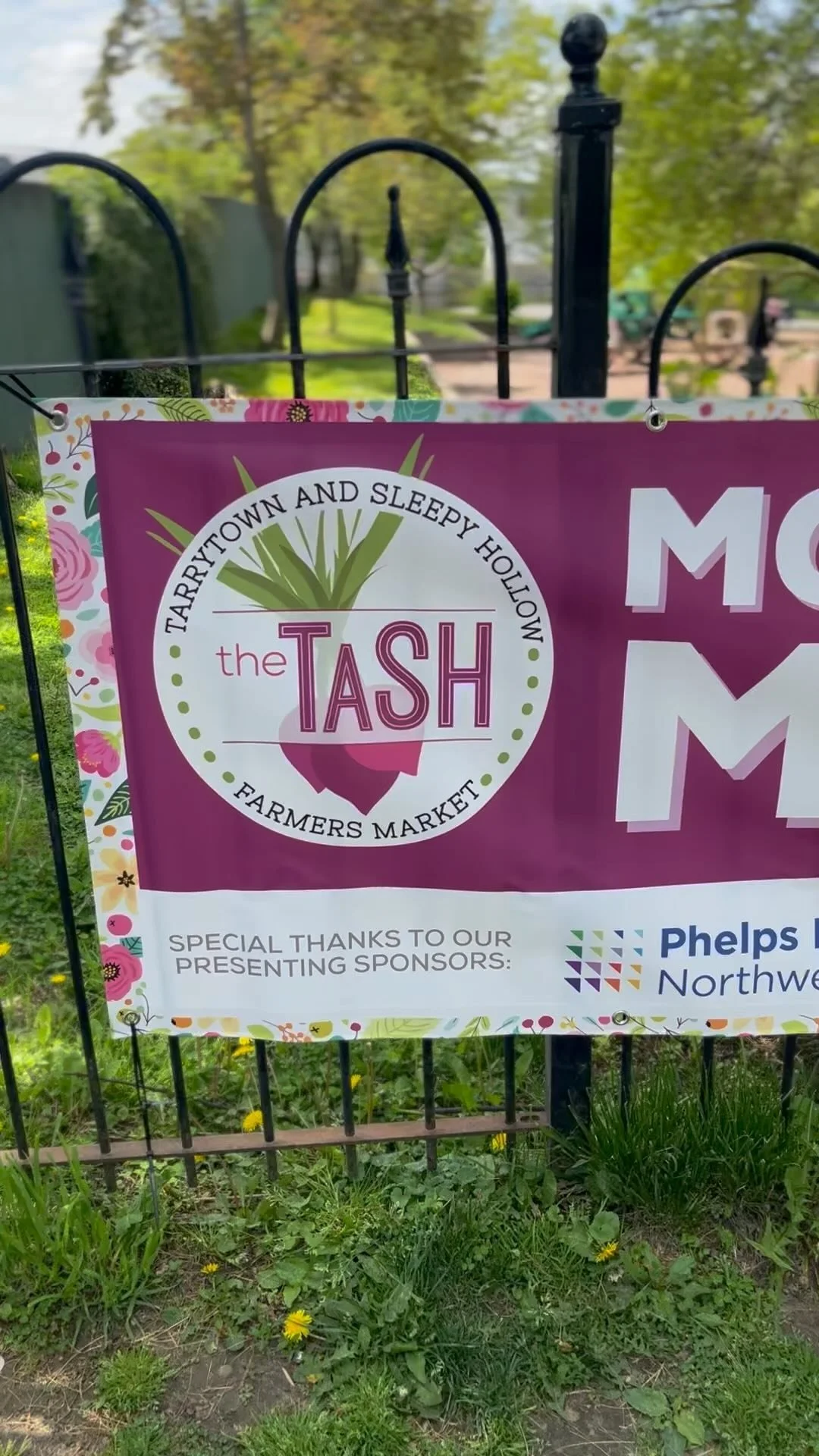 TaSH Gallery