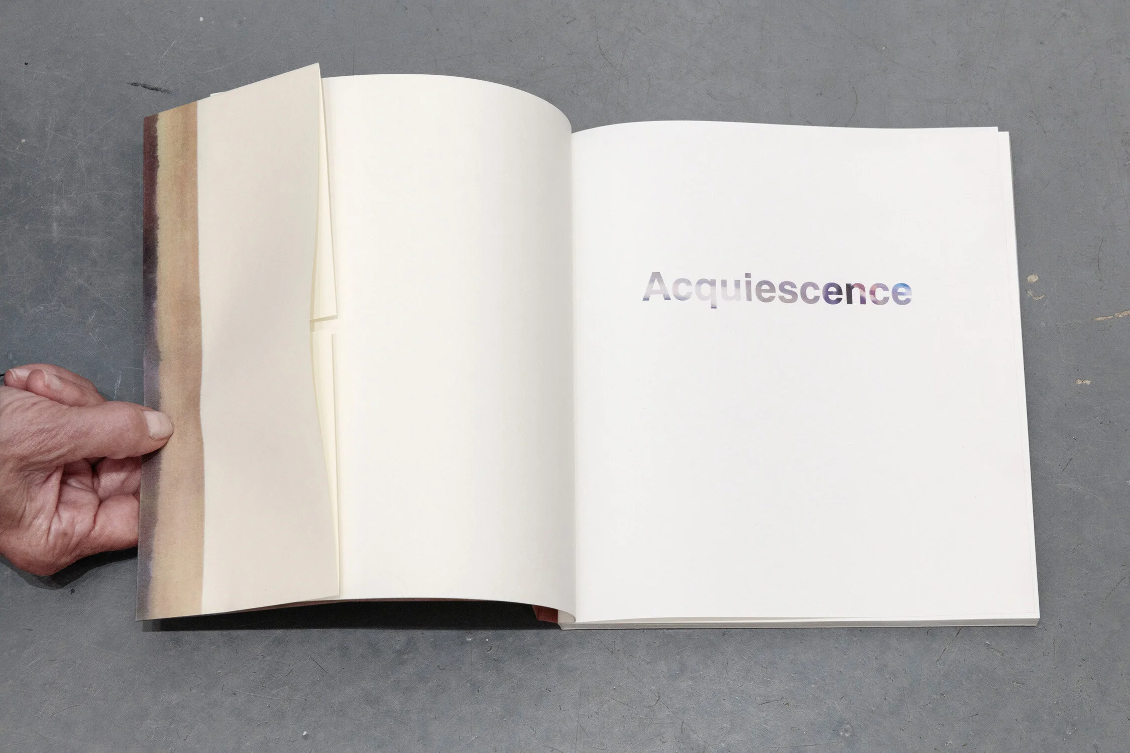 Carol Szymanski, Acquiescence (Artist Book), 2013 — signs and symbols