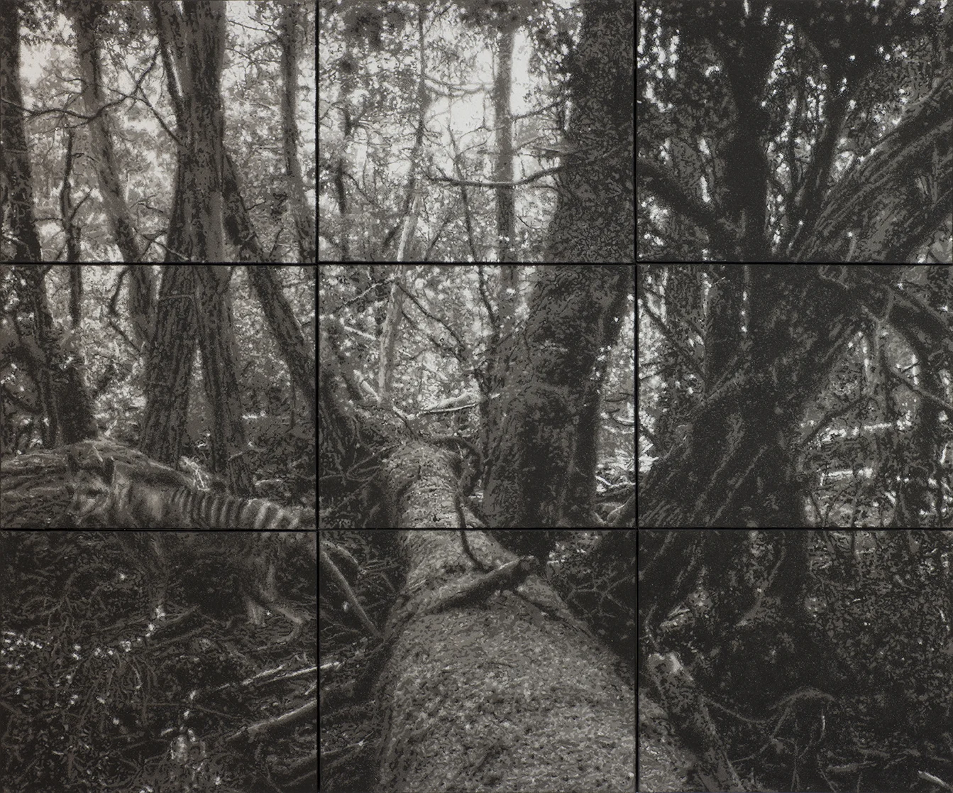 Nigel Hewittartworks — Nigel Hewitt