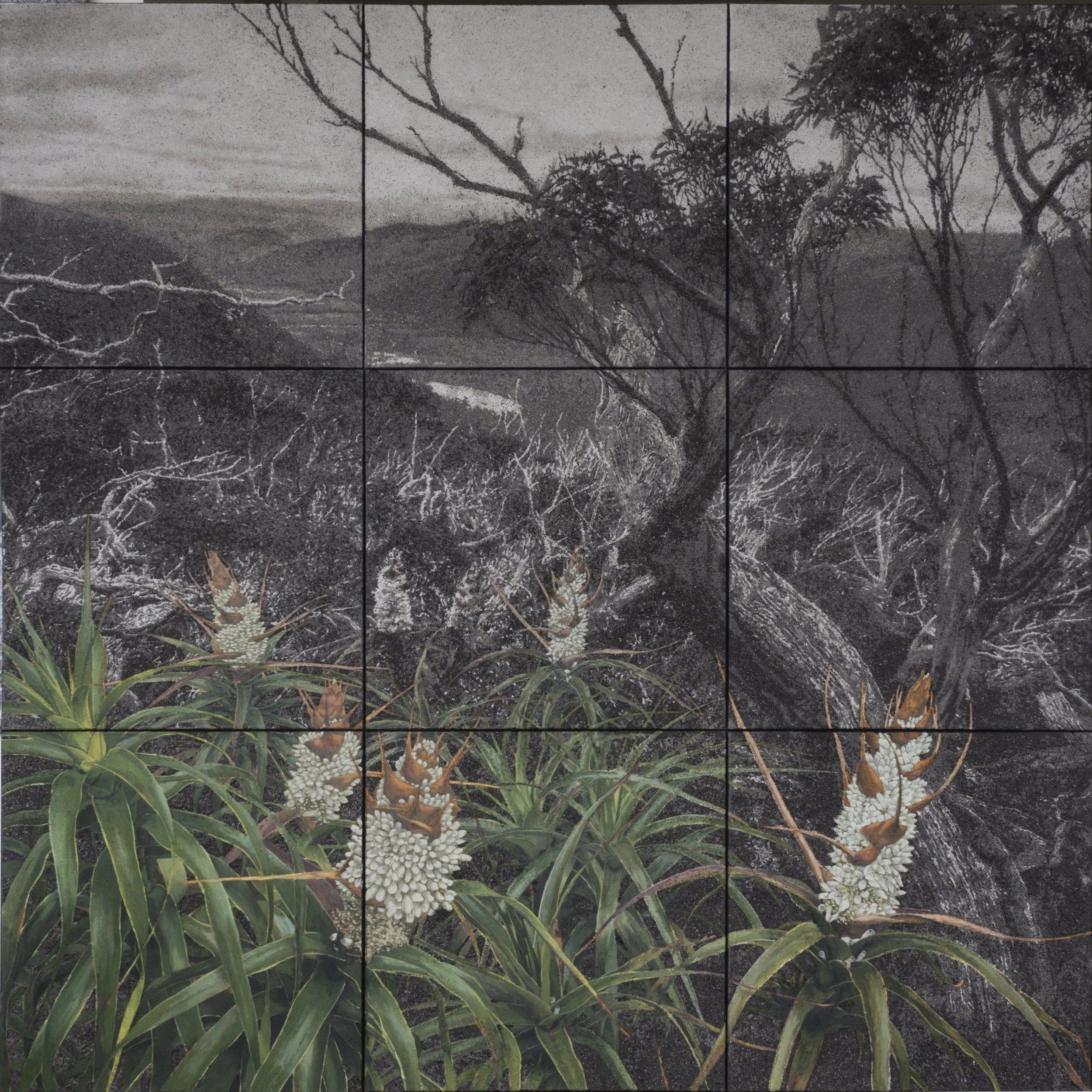 Nigel Hewitt-nigelhewitt