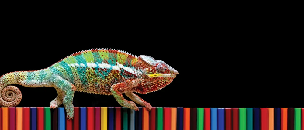 Compact+ - Foldable Premium 2D and 3D Movie Screens — Harkness Screens