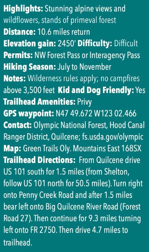 Marmot Pass, Olympic National Forest — Explore Hood Canal
