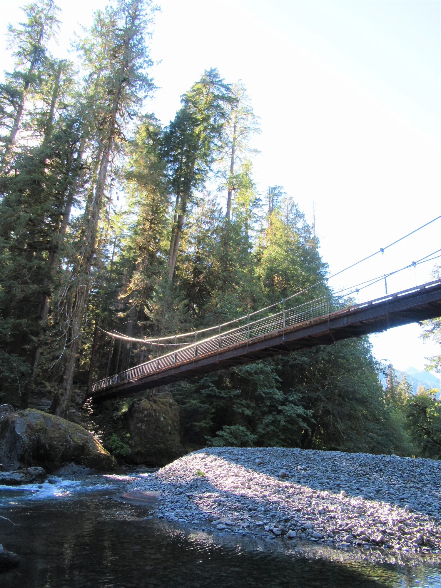 Staircase Rapids Trail | Discover & Hike Today — Explore Hood Canal
