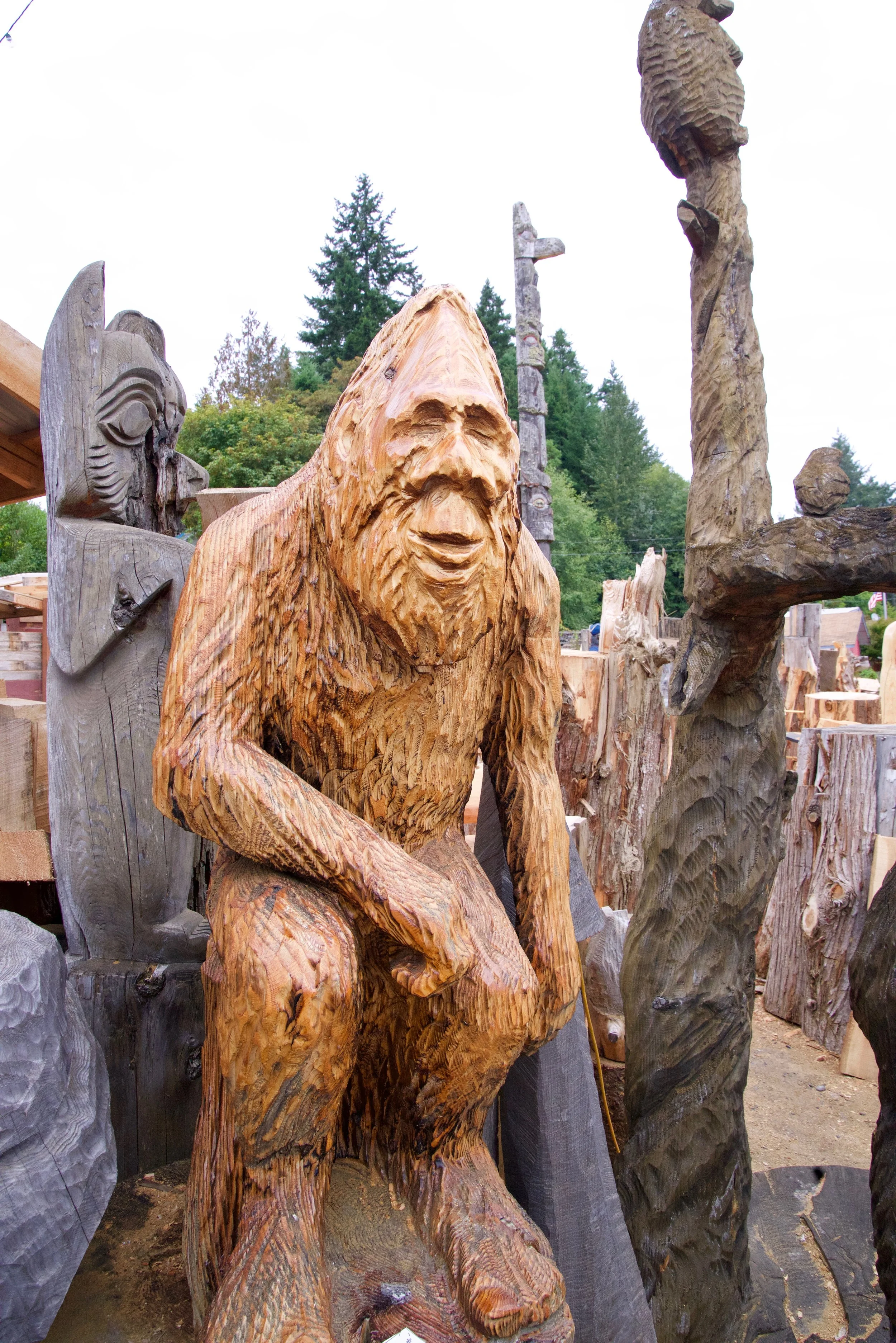 Squatch Watch — Explore Hood Canal