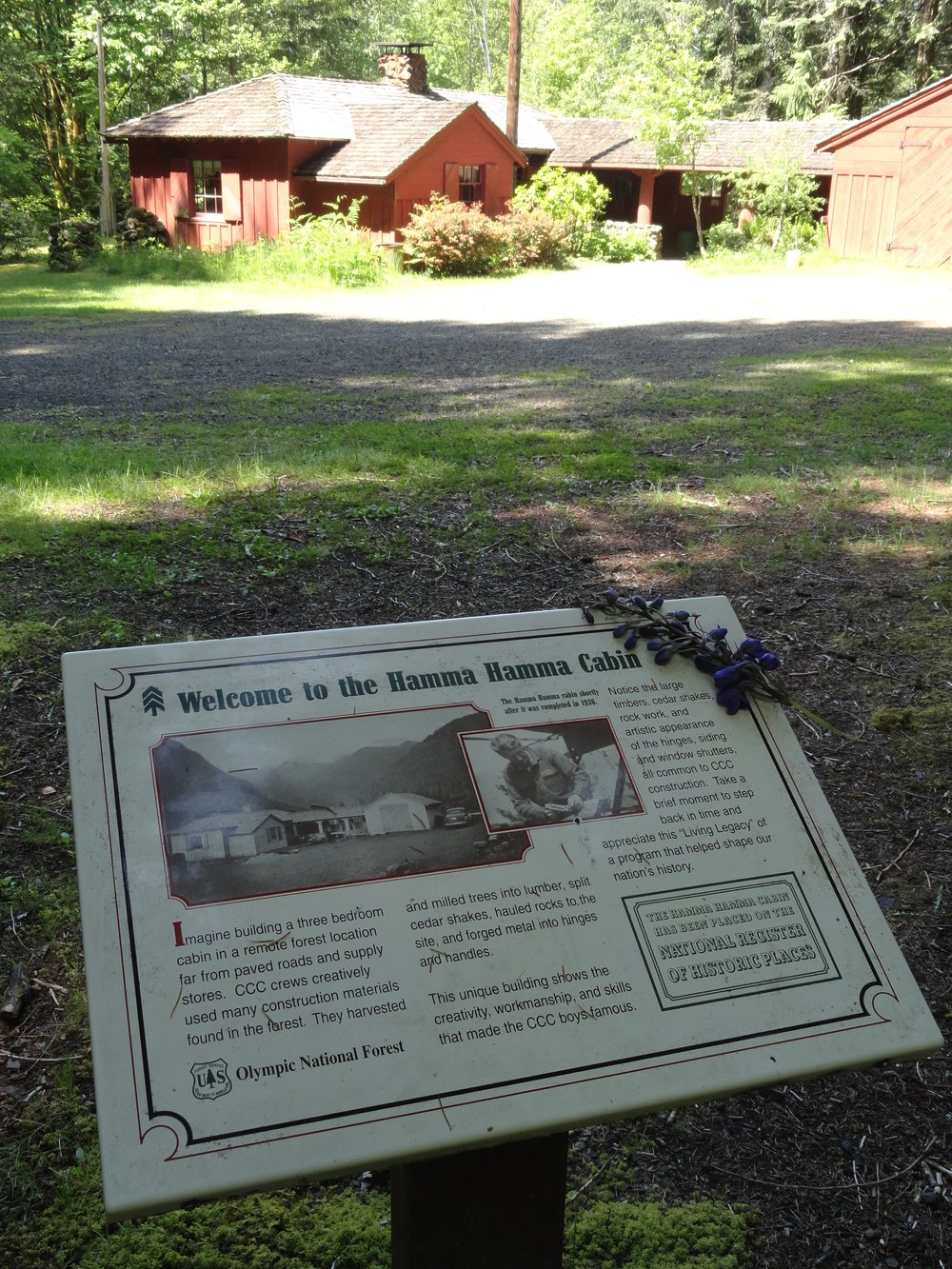 Hamma Hamma's Living Legacy Trail — Explore Hood Canal