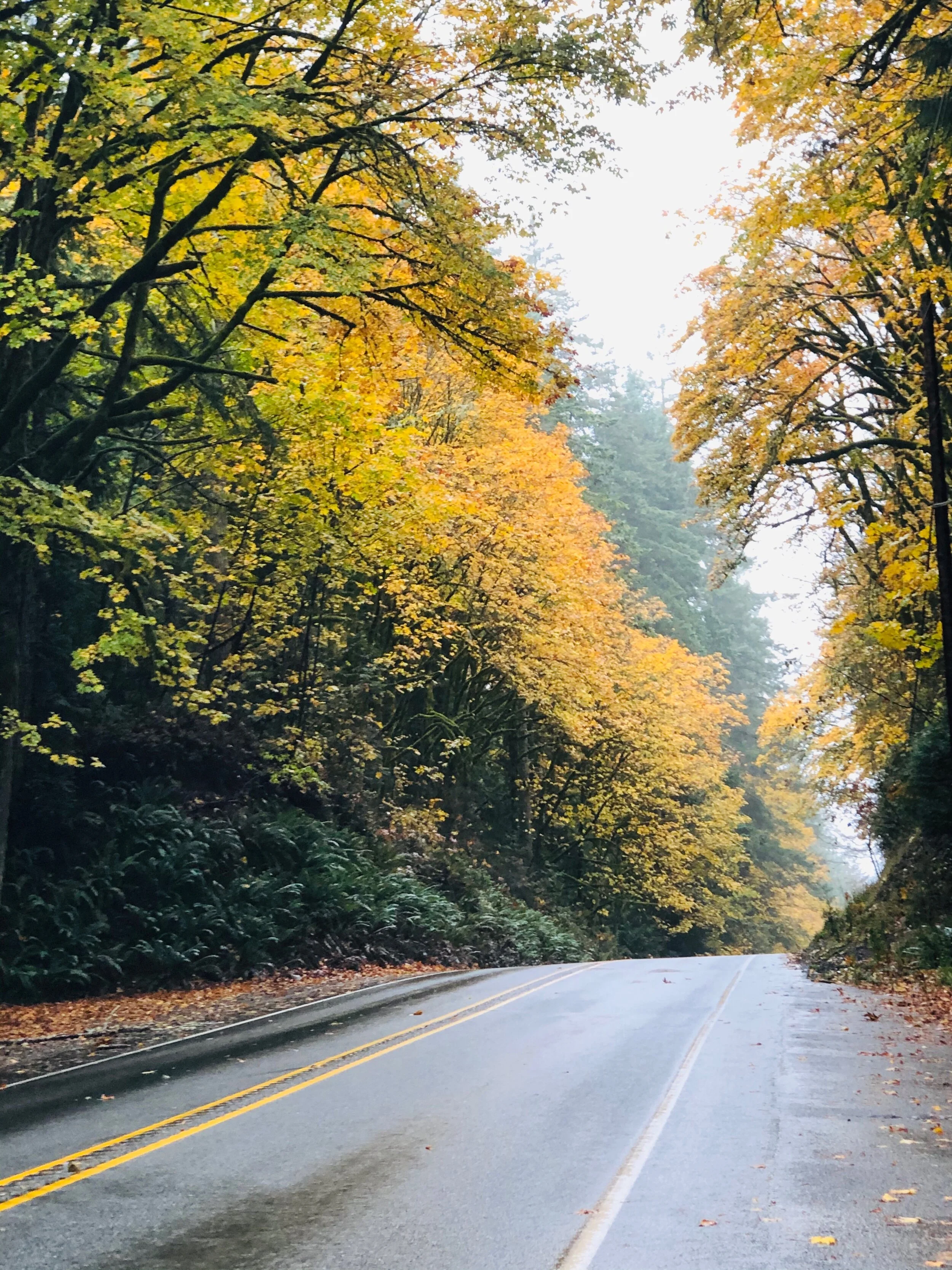 Stream Pornhub Sexploring Hood / Hood Canal To Port Townsend To Laconner Riveted | tperloff2011i7