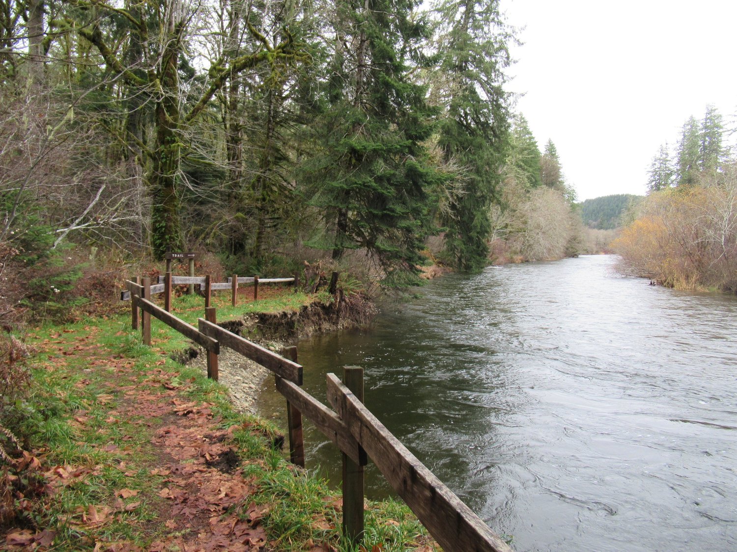 Schafer Forest Trail At Schafer State Park — Explore Hood Canal