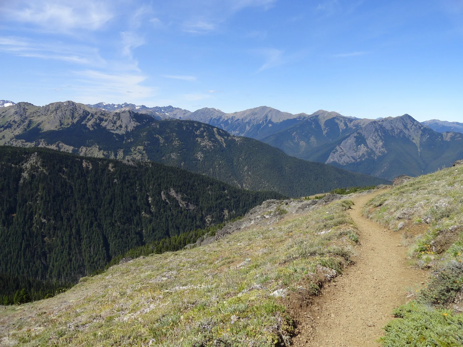 Mount Townsend, Olympic National Forest — Explore Hood Canal