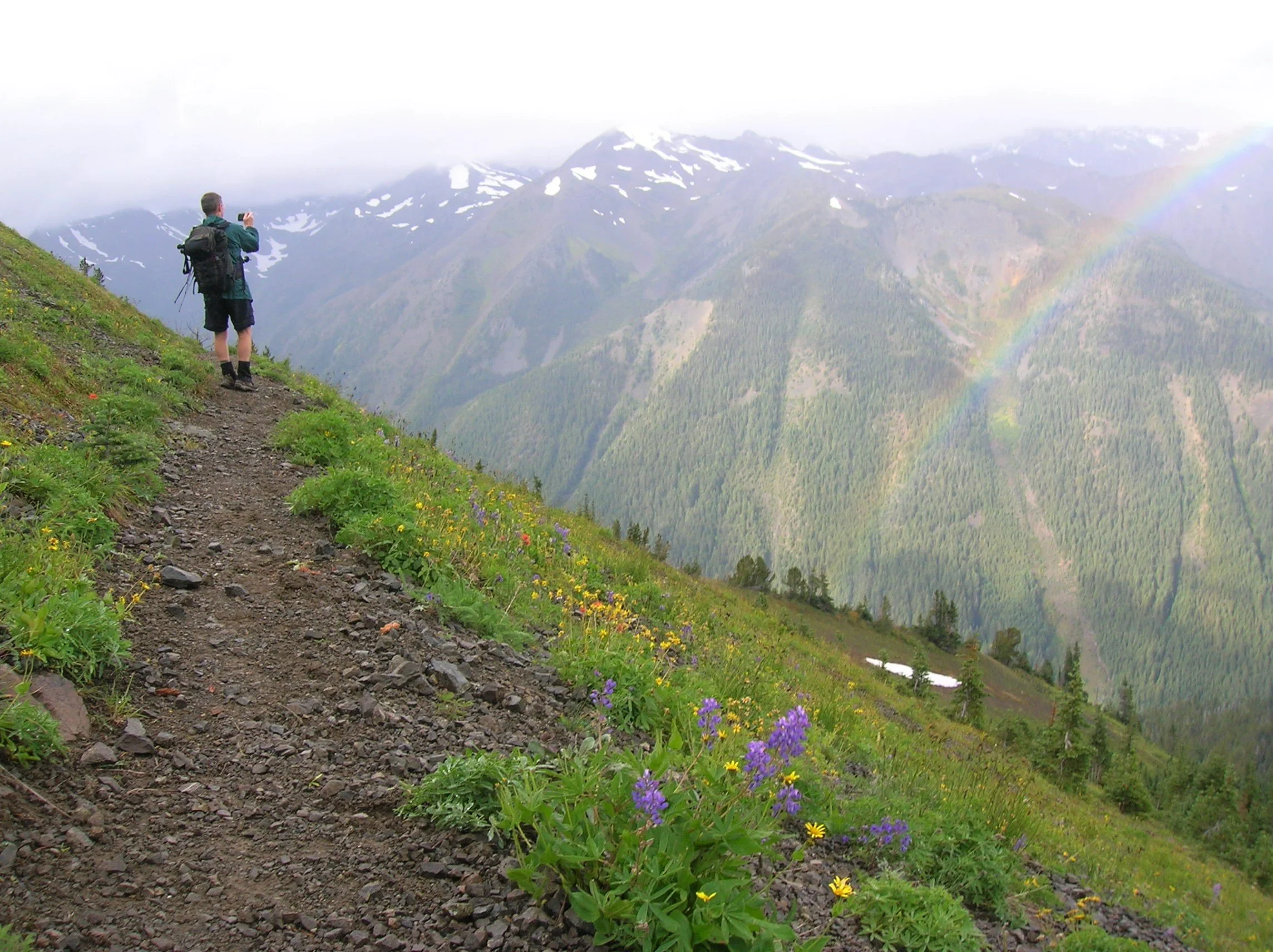 Marmot Pass, Olympic National Forest — Explore Hood Canal