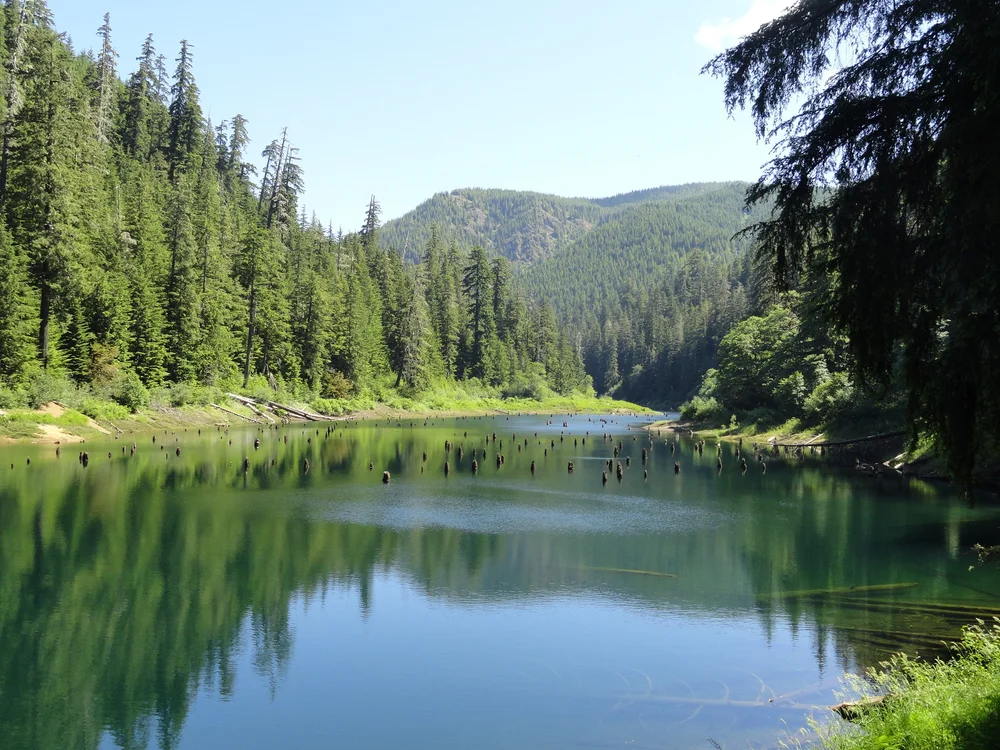 Spider Lake In The Olympic National Forest — Explore Hood Canal