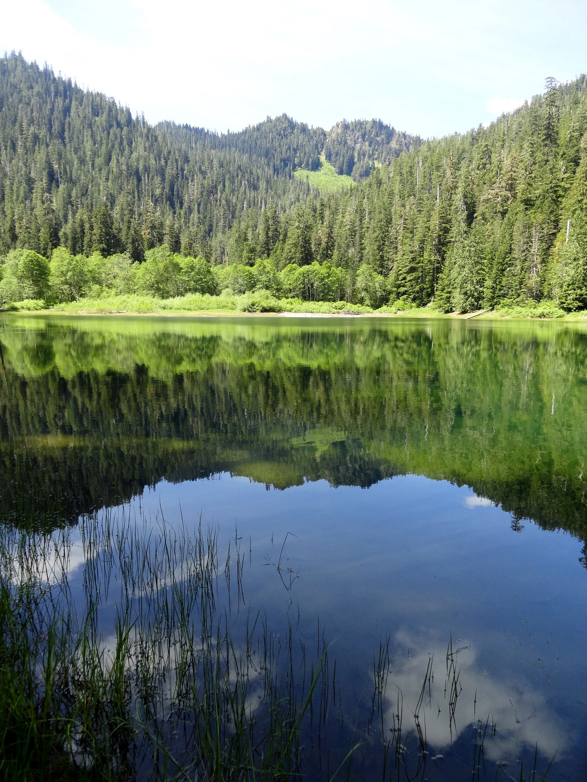 Pine Lake In The Olympic National Forest — Explore Hood Canal