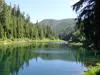 Spider Lake Trail: Family-Friendly Hike in Olympic National Forest Near ...
