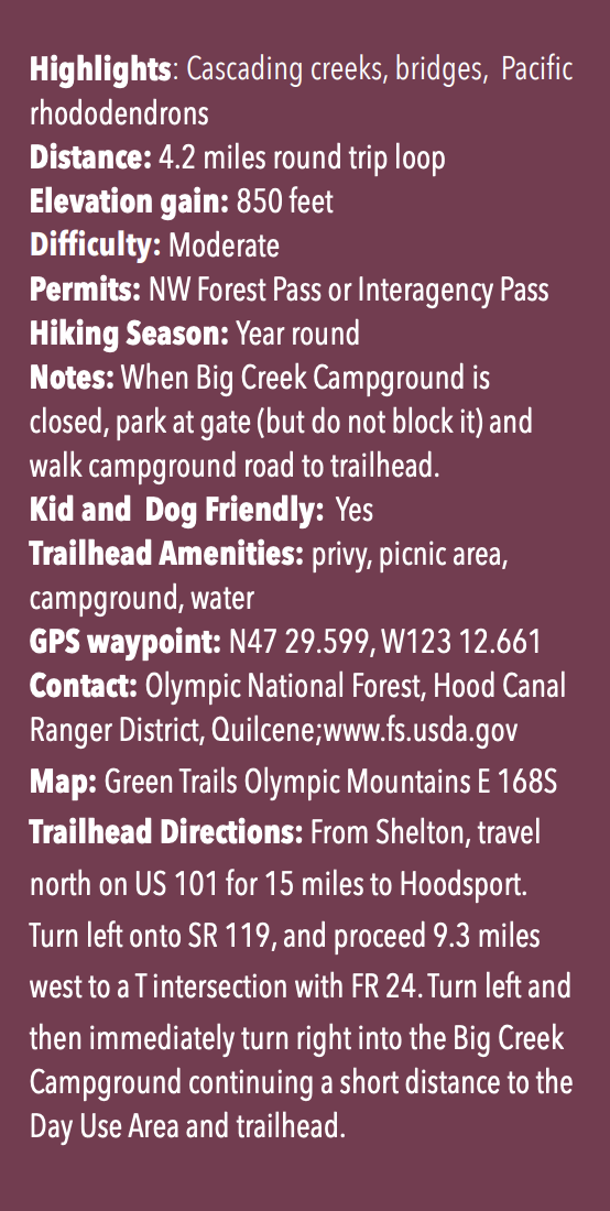 Big Creek Loop — Explore Hood Canal