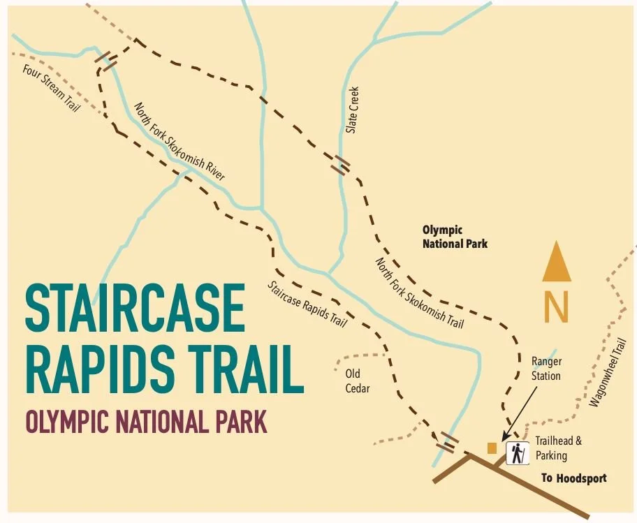 Staircase Rapids Trail At Olympic National Park — Explore Hood Canal