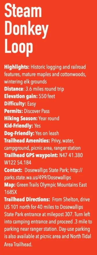 Maple Valley Steam Donkey Loop In Dosewallips State Park — Explore Hood ...