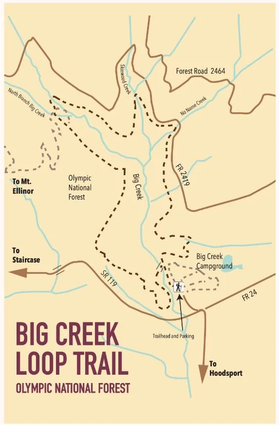 Big Creek Loop In The Olympic National Forest — Explore Hood Canal