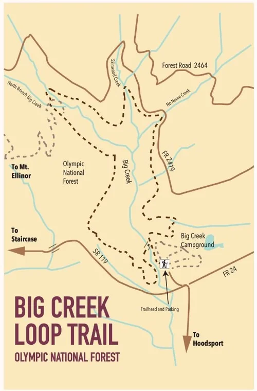 Big Creek Loop In The Olympic National Forest — Explore Hood Canal