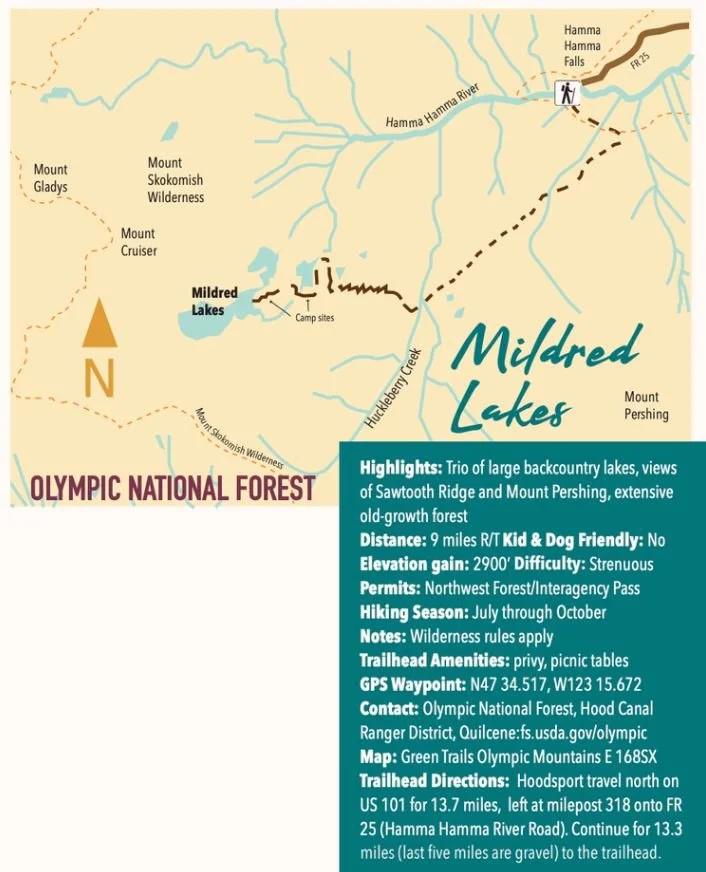 Mildred Lakes At Olympic National Forest — Explore Hood Canal