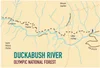 Duckabush River In Olympic National Forest — Explore Hood Canal
