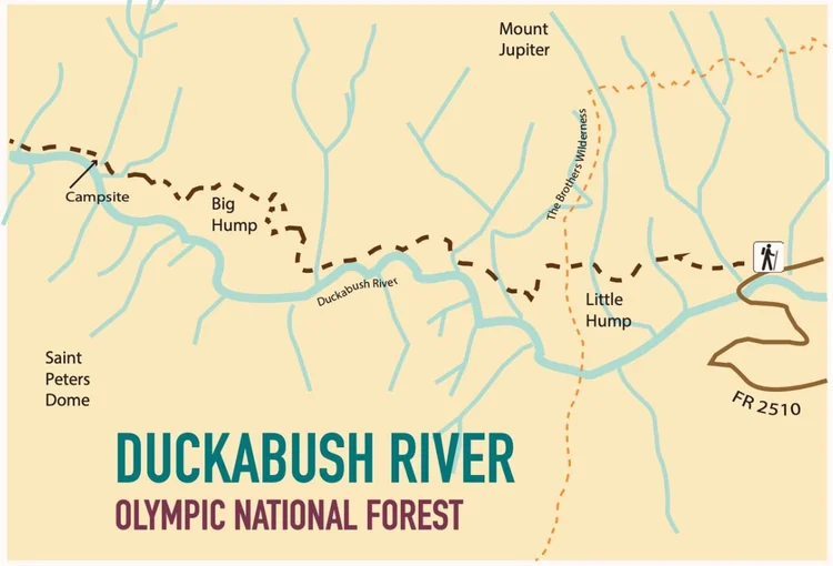 Duckabush River In Olympic National Forest — Explore Hood Canal