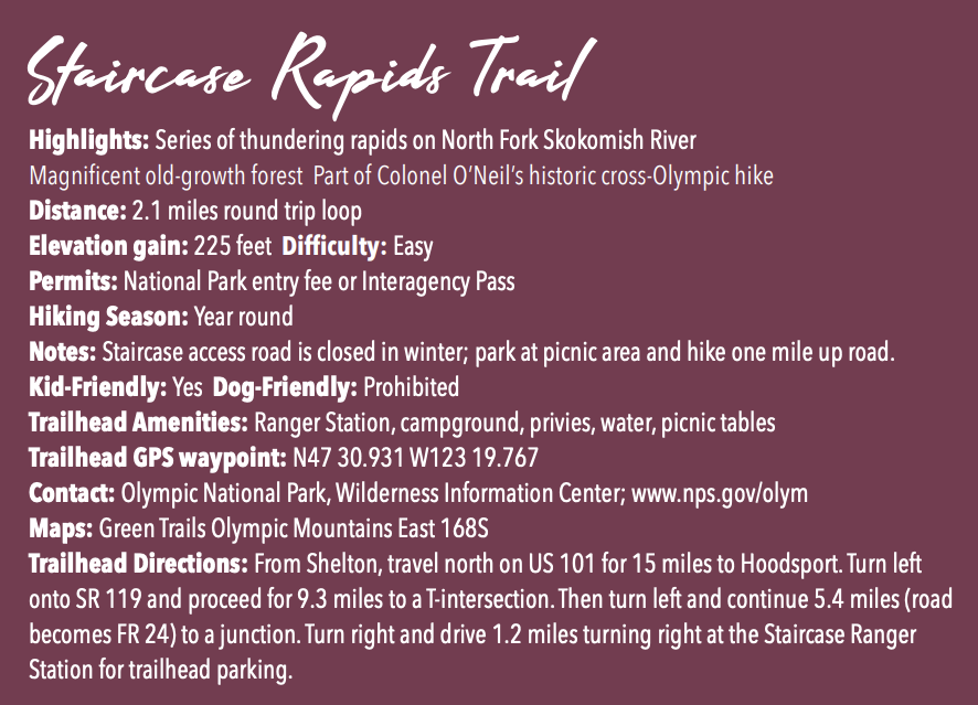 Staircase Rapids Trail — Explore Hood Canal
