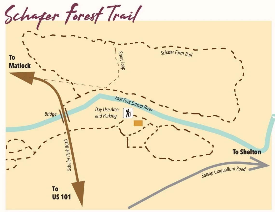 Schafer Forest Trail At Schafer State Park — Explore Hood Canal