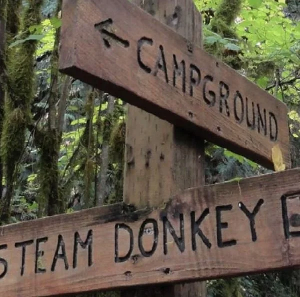 Maple Valley Steam Donkey Loop In Dosewallips State Park — Explore Hood ...