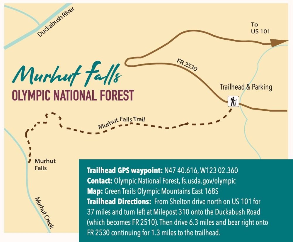 Murhut Falls In Olympic National Forest — Explore Hood Canal