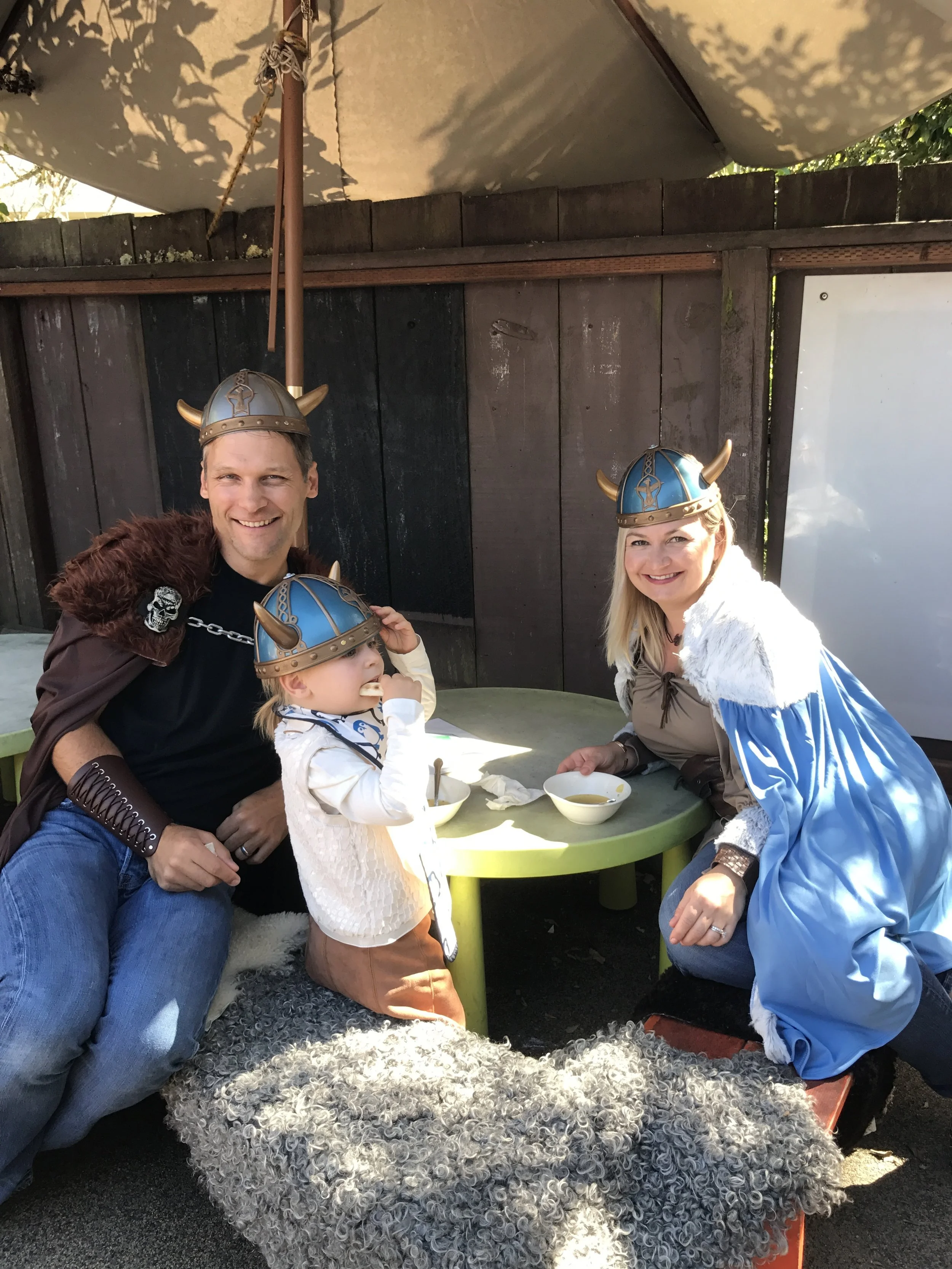 About — The Scandinavian School