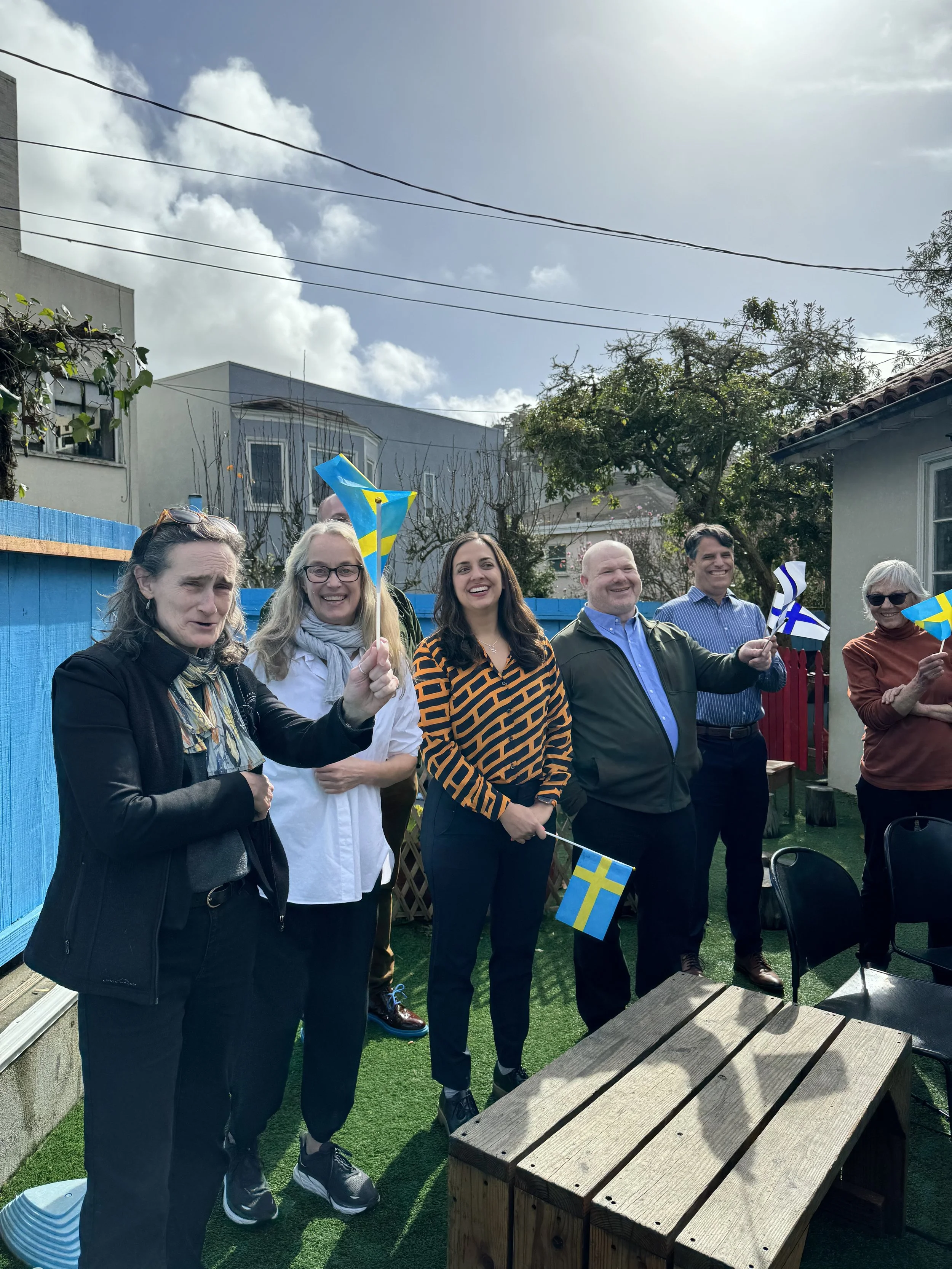 Language classes for Adults — The Scandinavian School