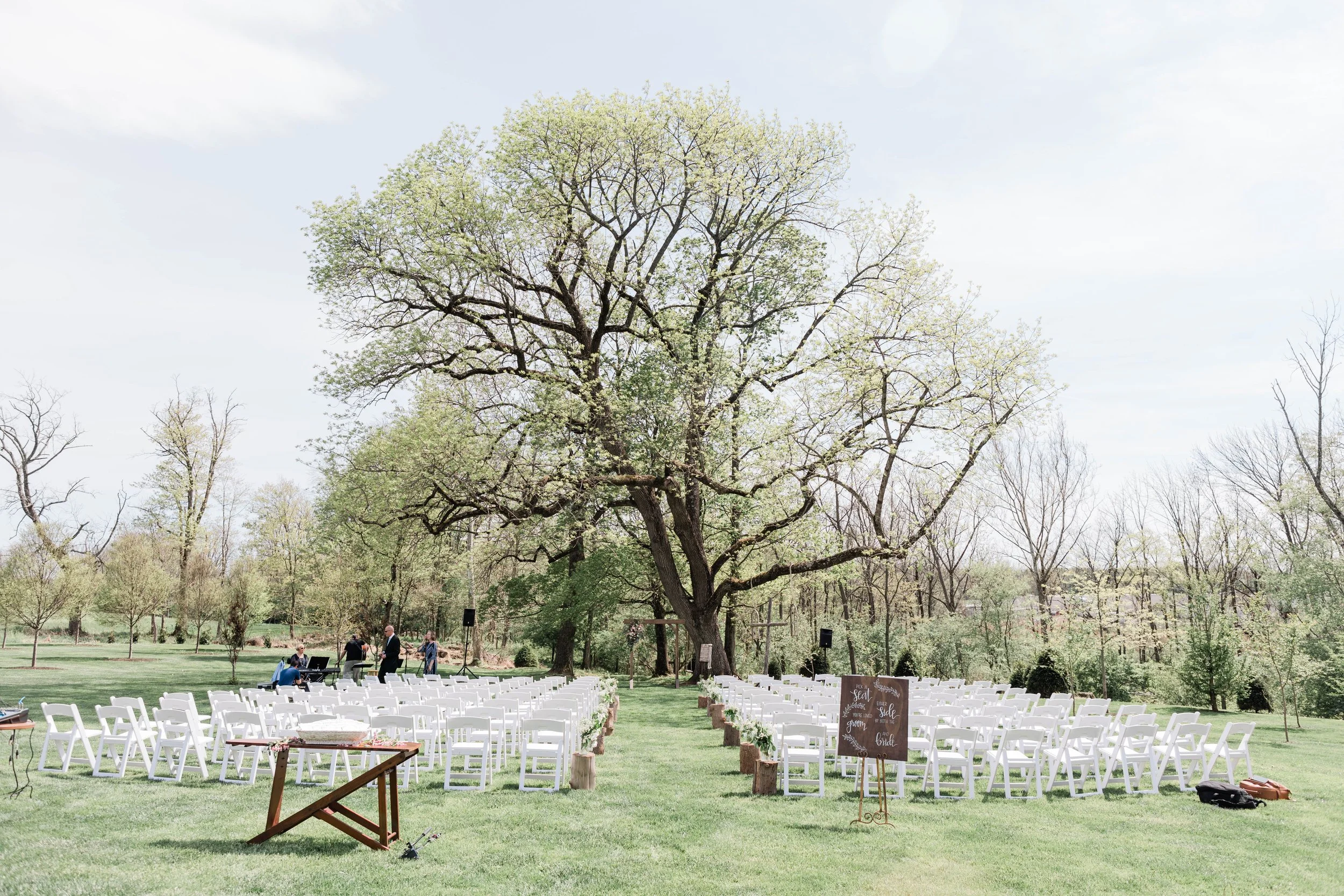 Big Ash Tree — Historic Stonebrook Farm