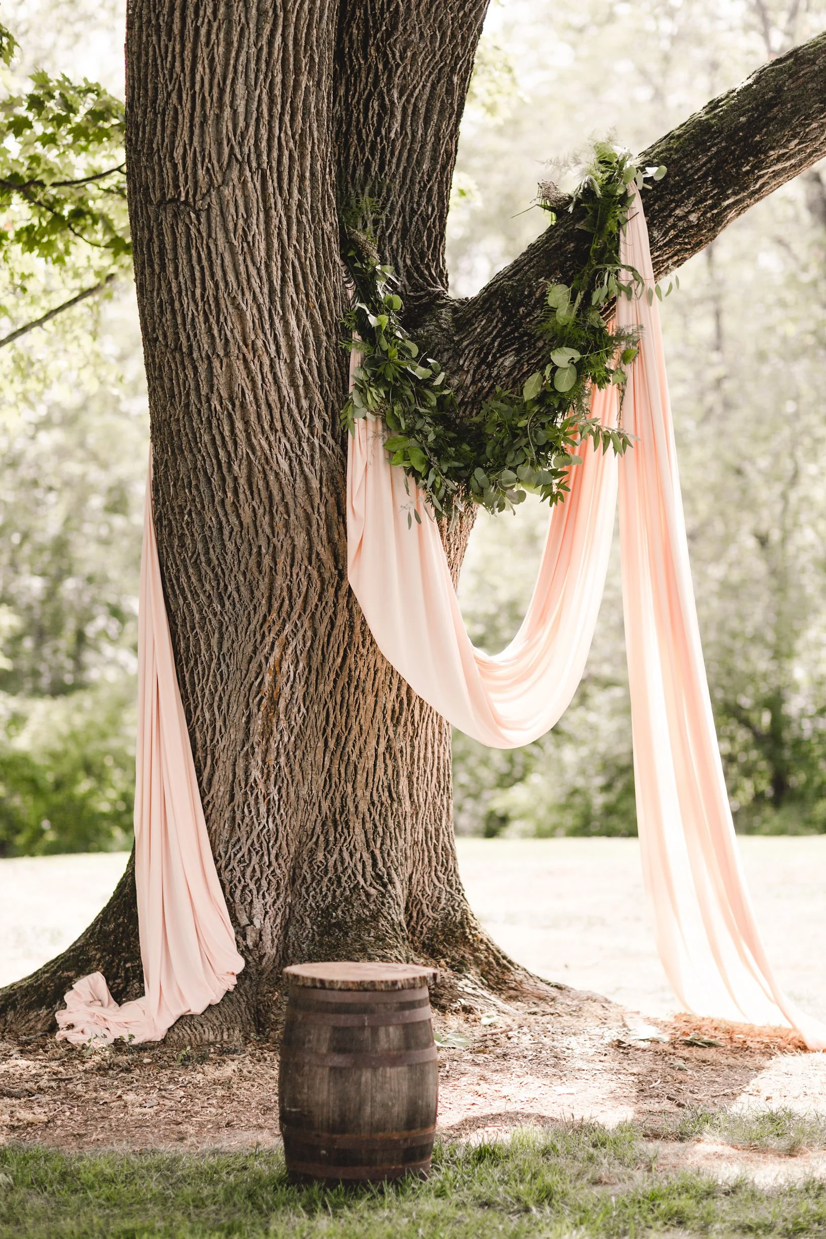 Big Ash Tree — Historic Stonebrook Farm