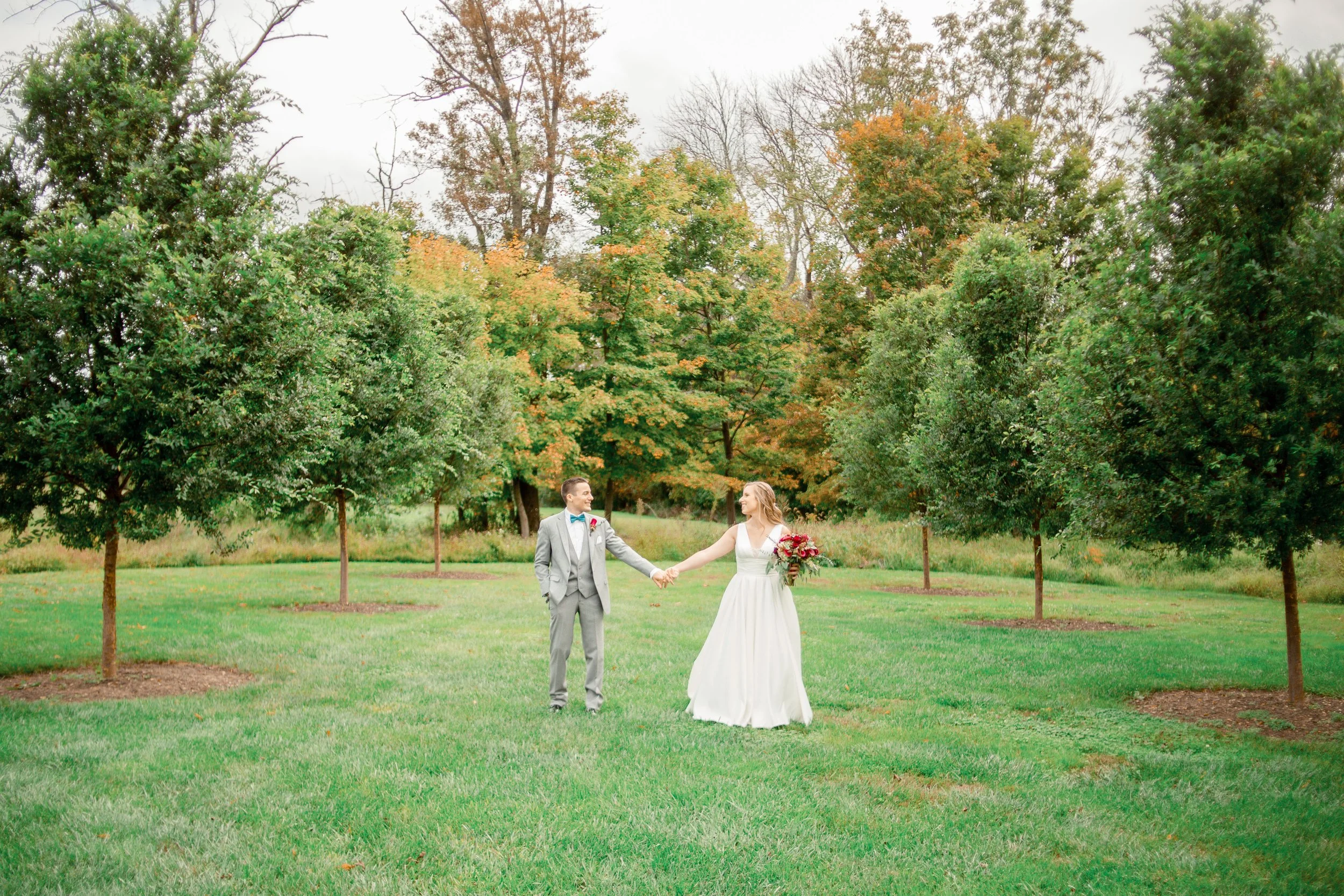 Elm Tree Allee — Historic Stonebrook Farm