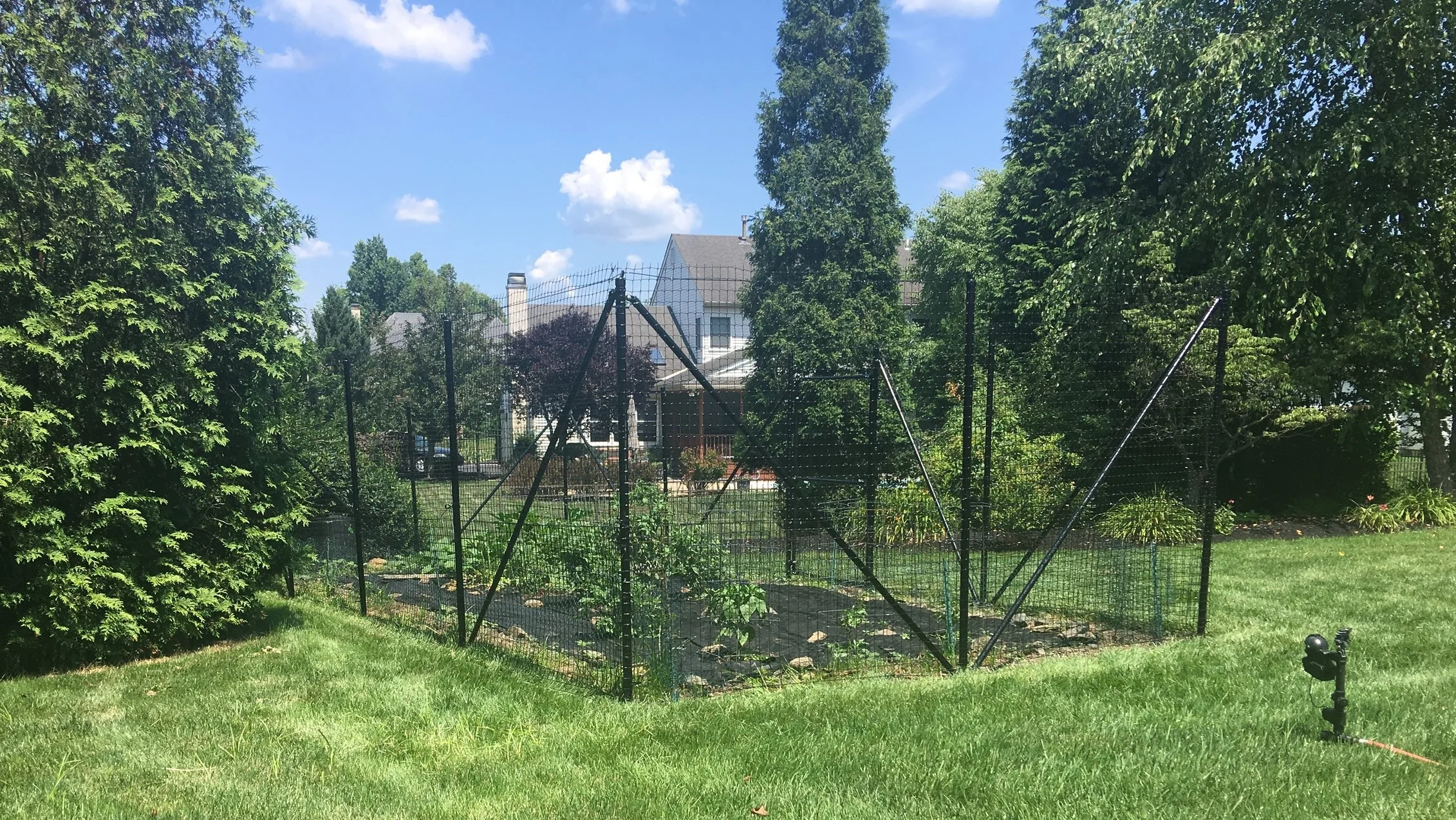 Small Garden Fence for Deer Protection — The Benner Deer Fence Company