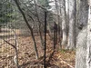 Poly Deer Fence and fence made of plastic or polypropylene - The Benner ...