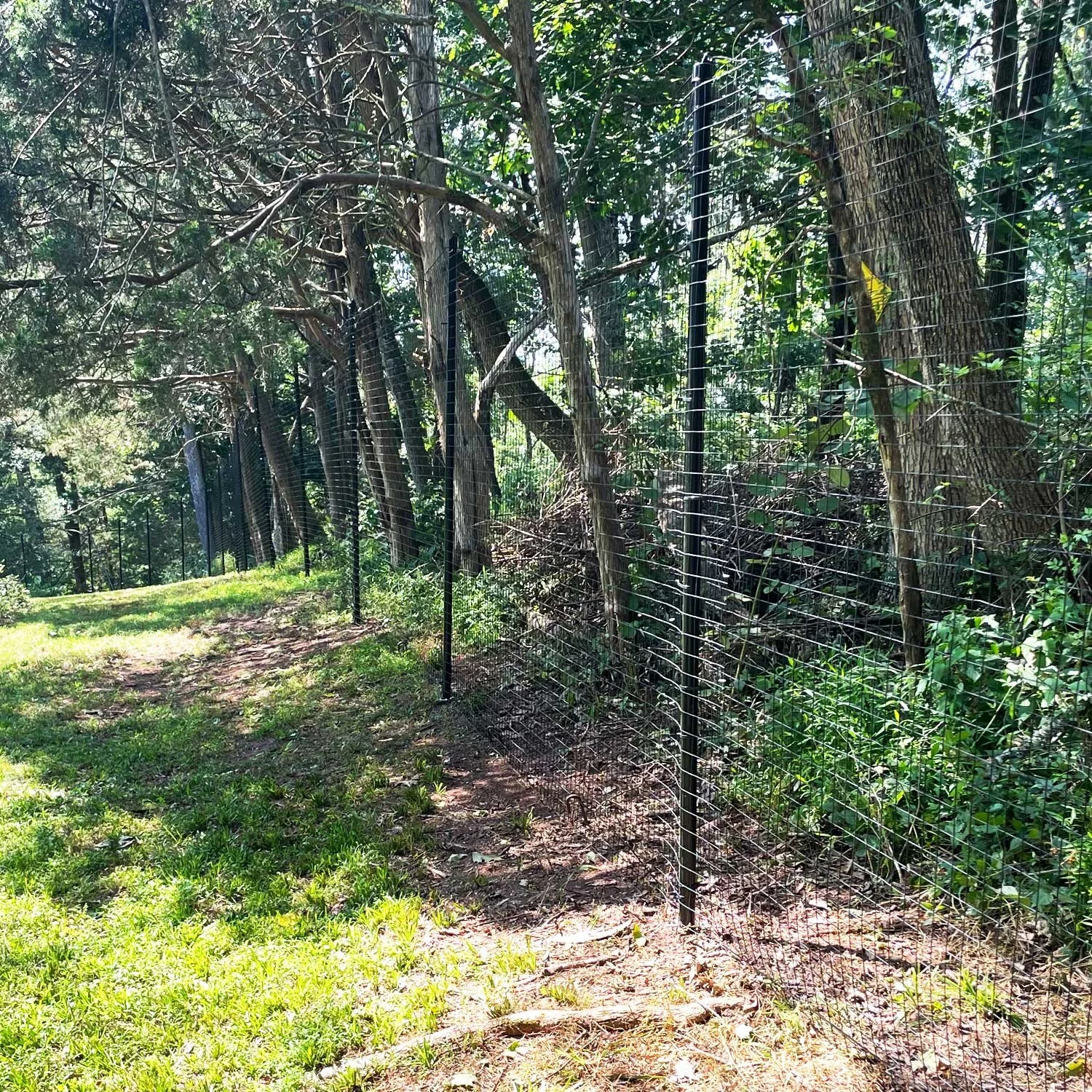 8 ft x 100 ft welded wire metal 1 inch x 1 inch black poly coated ...
