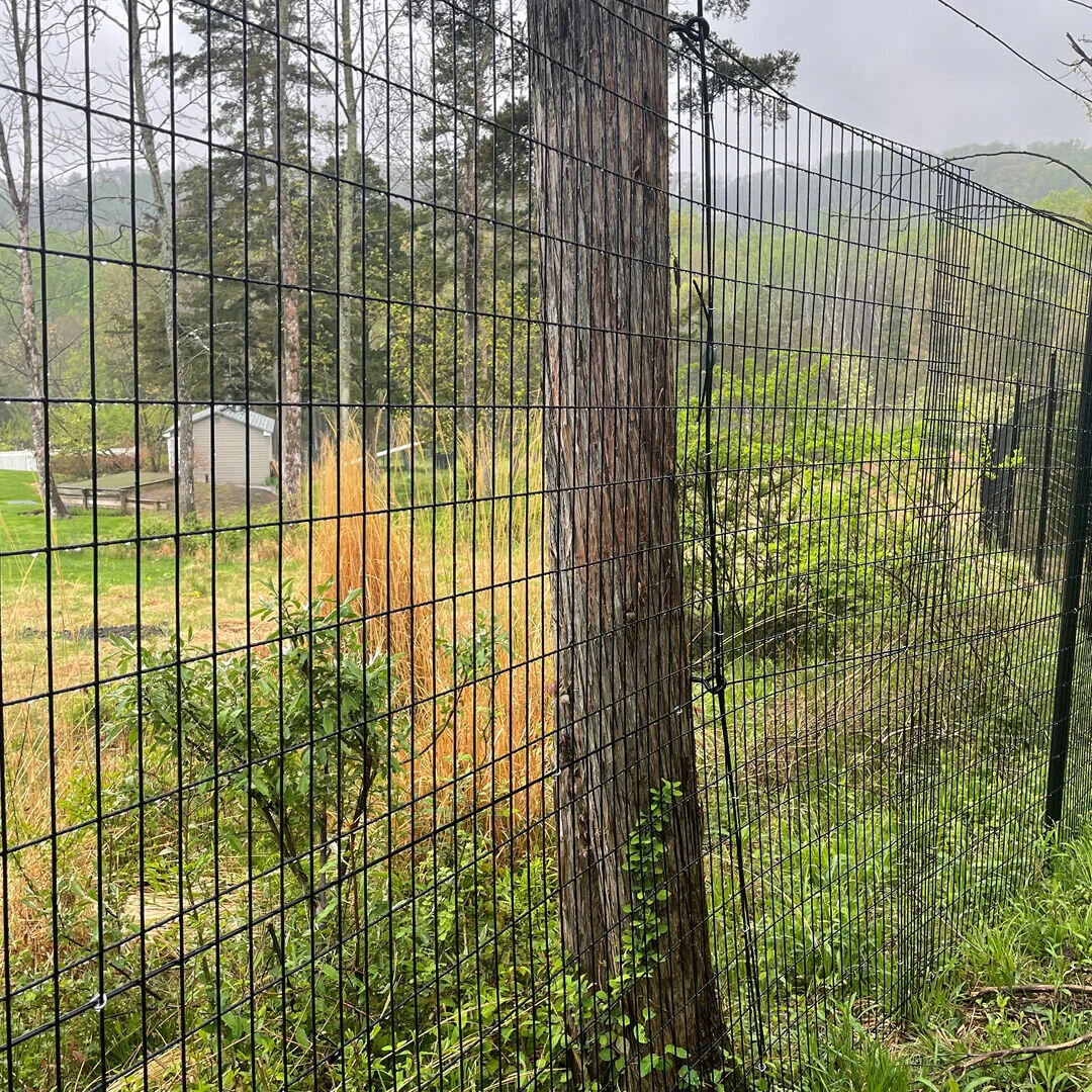 Our Deer Fence Story - The Benner Deer Fence Company