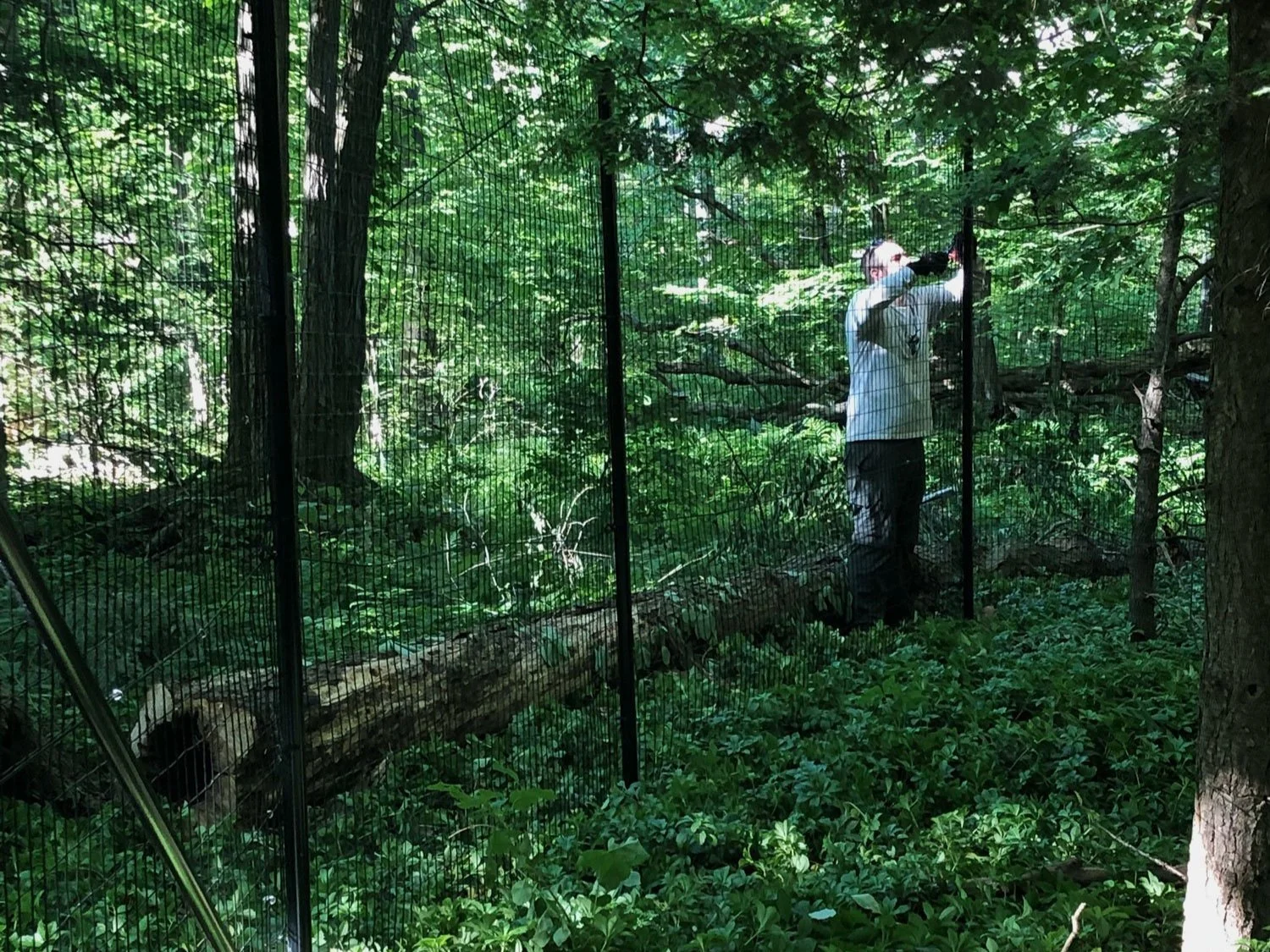How-to Install a deer Fence - The Benner Deer Fence Company