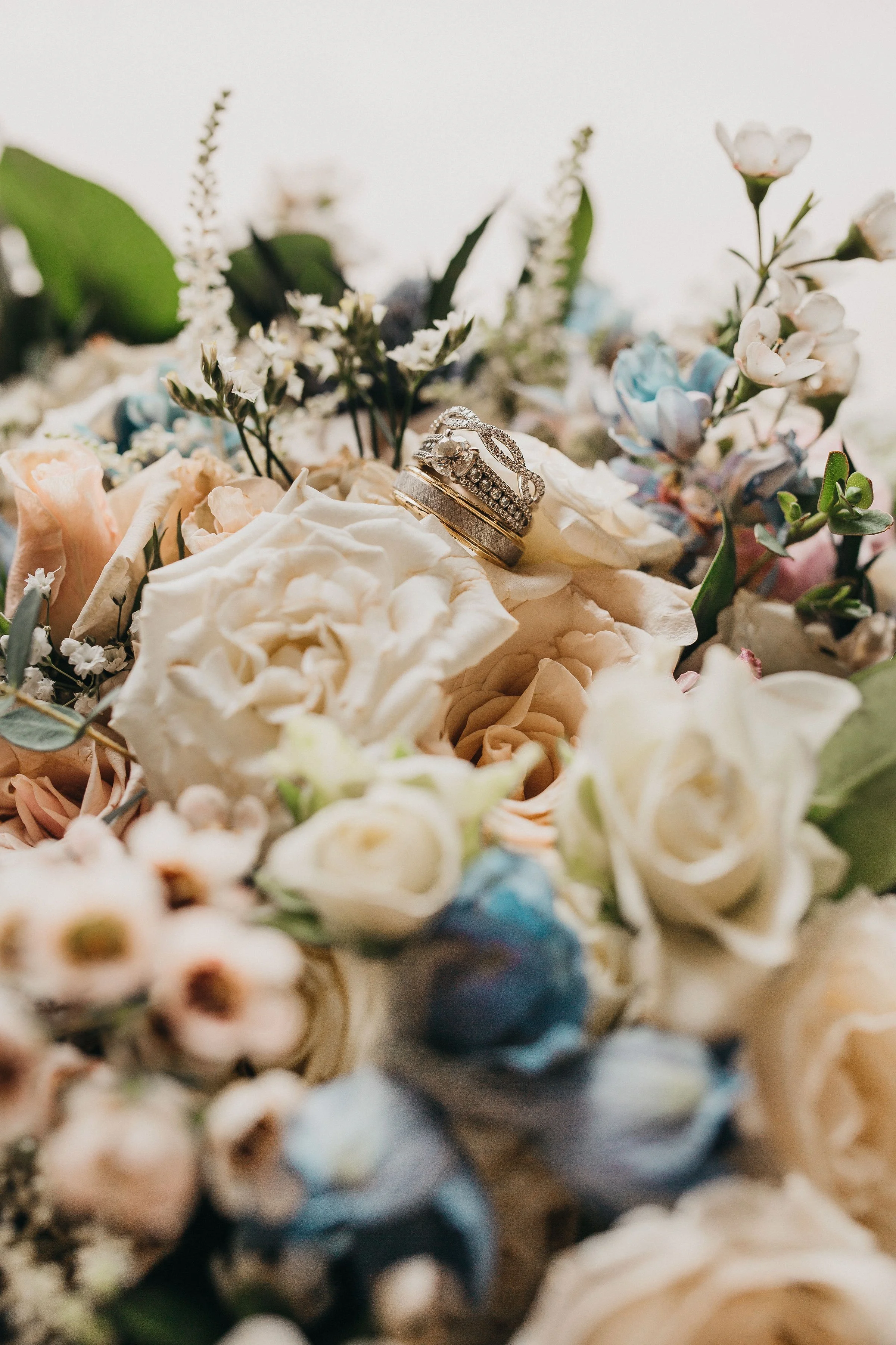 Jackie Marie Photography + Video