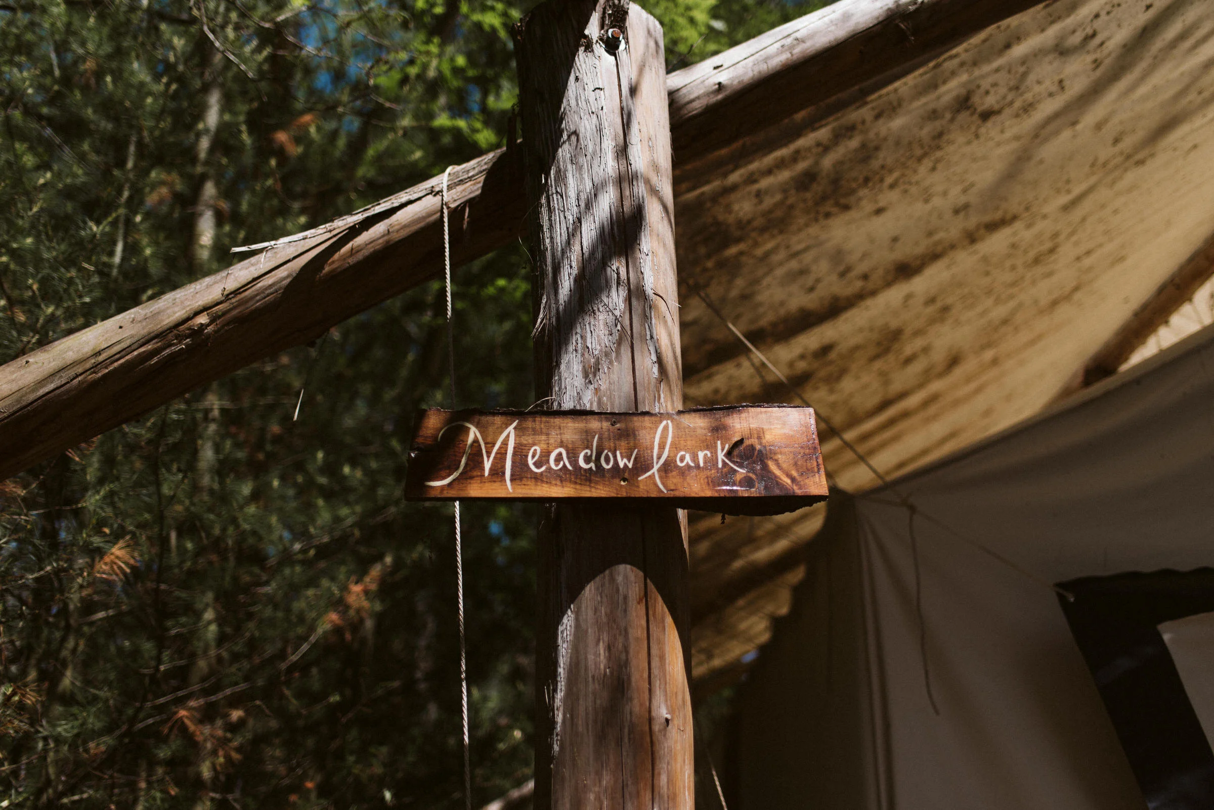 tamara + patrick | an intimate forest wedding at Whispering Springs ...